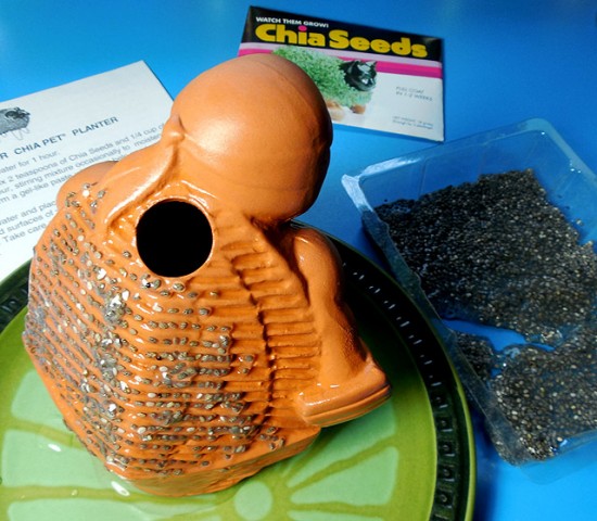 Teenage Mutant Ninja Turtles Chia Pet! | Dinosaur Dracula!