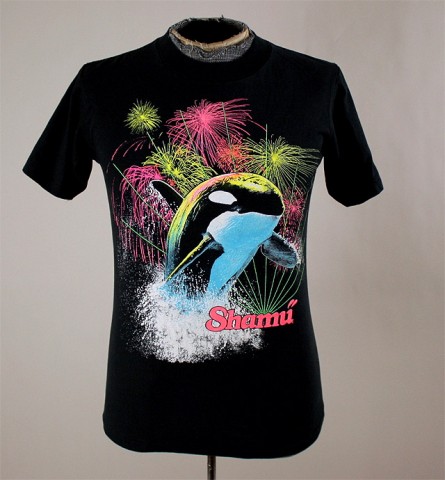 The 5 best Shamu items on eBay. | Dinosaur Dracula!