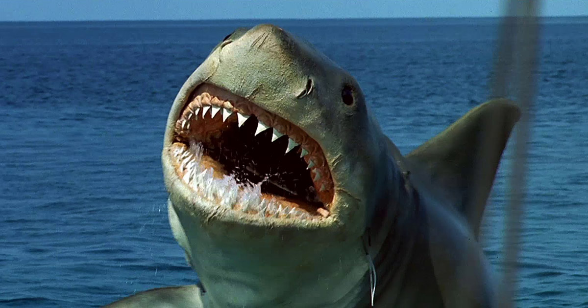 The Purple Stuff's Sharkstravaganza! | Dinosaur Dracula!