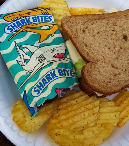 6 Fun Facts about Shark Bites Fruit Snacks! | Dinosaur Dracula!