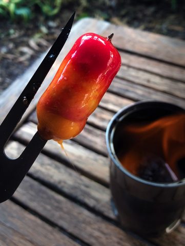 You must try Roasted Starburst! | Dinosaur Dracula!